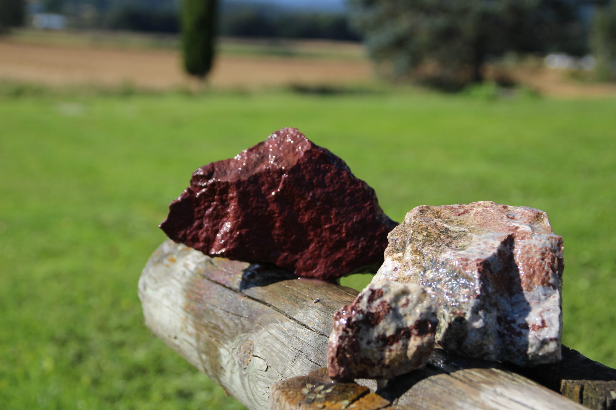Mer om forekomsten på Fensfeltet - Fensfeltet